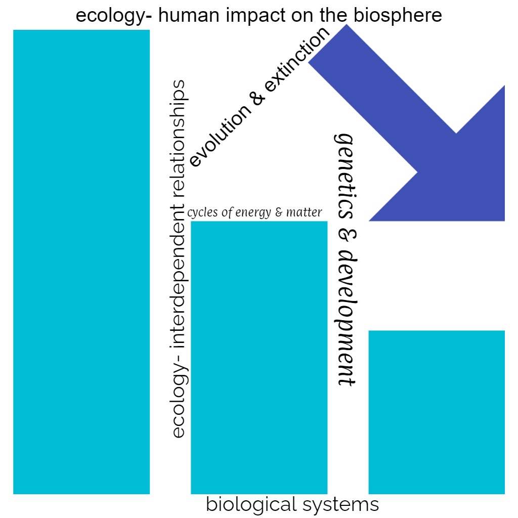 HS Biology Collection | Tuva