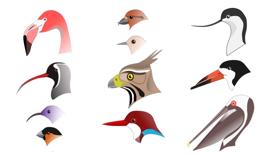 Feathers and Beaks | Tuva