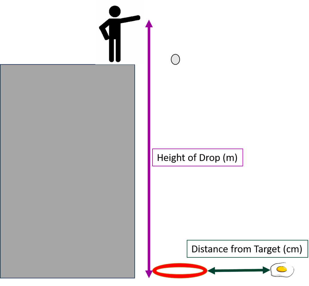 Project: Egg Drop Engineering Student Data | Tuva