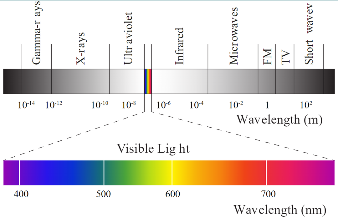 Light Moving Through Materials | Tuva