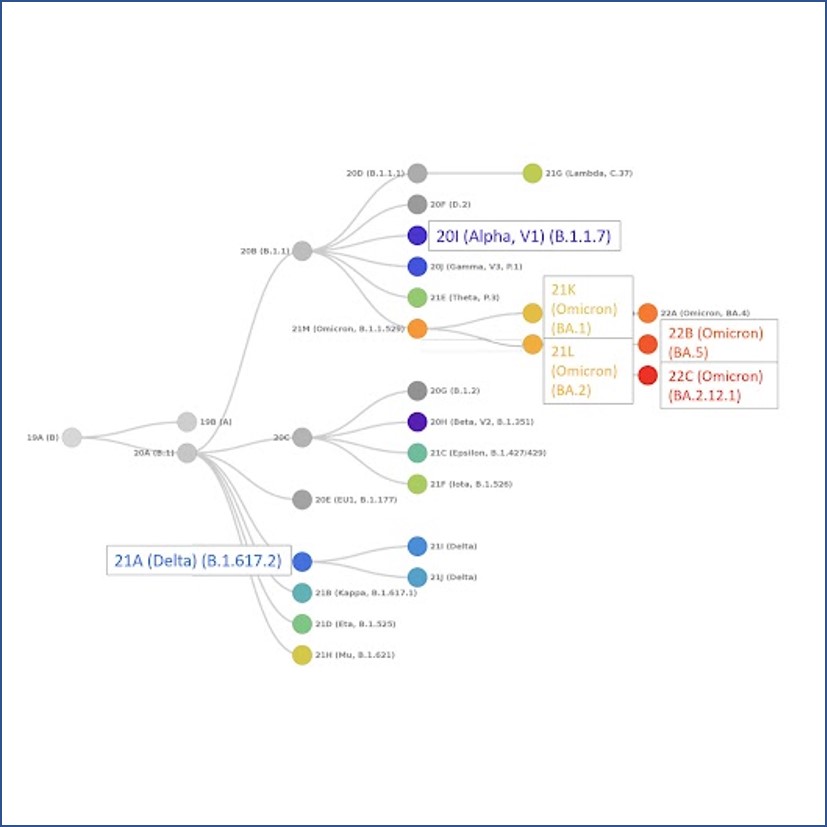 Variants and Mutations of a Virus in the US | Tuva