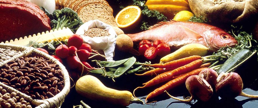 Global Food Prices Since 2001 | Tuva