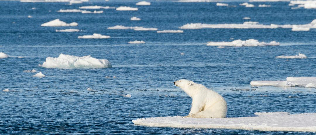 SST Around the World | Tuva