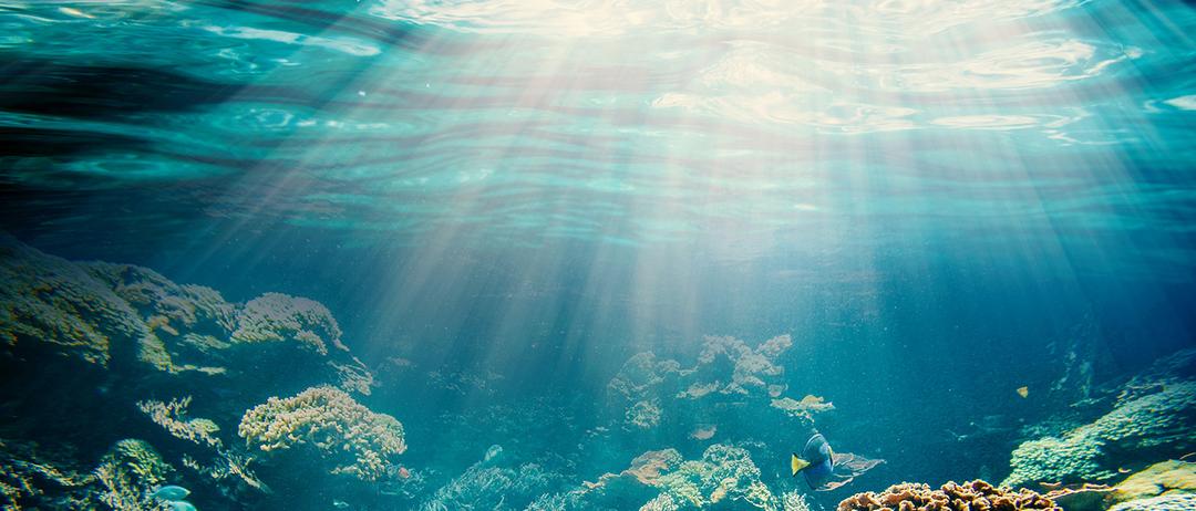 Where is Water? | Tuva